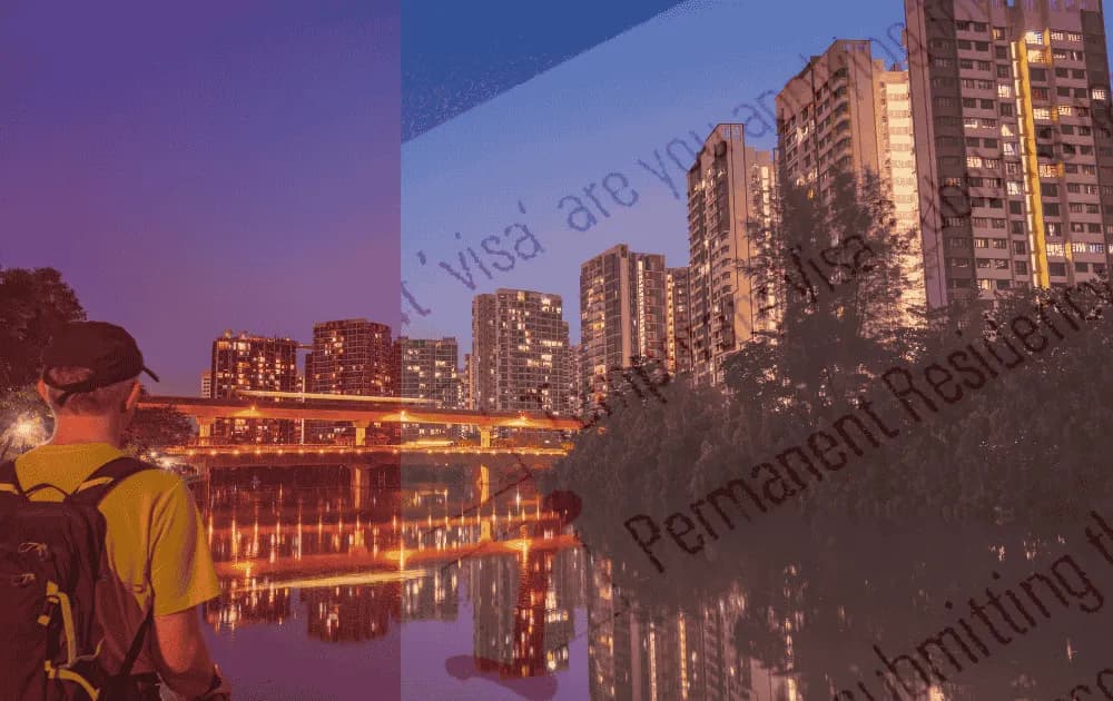 A Guide to S Pass Formalities: Steps After Receiving Your IPA